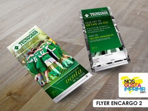 5.000 Flyer Tecnocasa 135 grms Tamaño DL – nosgustaimprimir.com